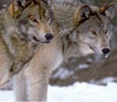 Patrick Bisson – xaviercamus.com